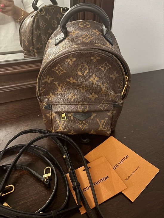 Bags | Louis Vuitton Lv Backpack Bag M44873 Palm Springs Mini Brown ...